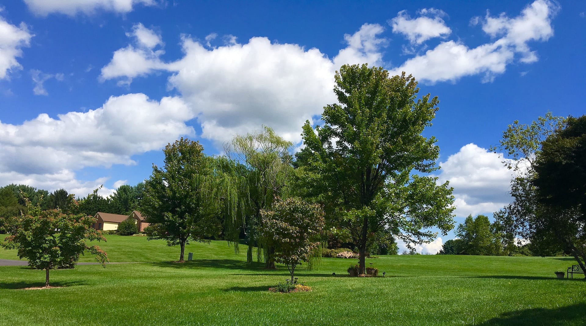 6 Tips for Choosing the Right Trees for Your Landscape - Coastal Lawn ...